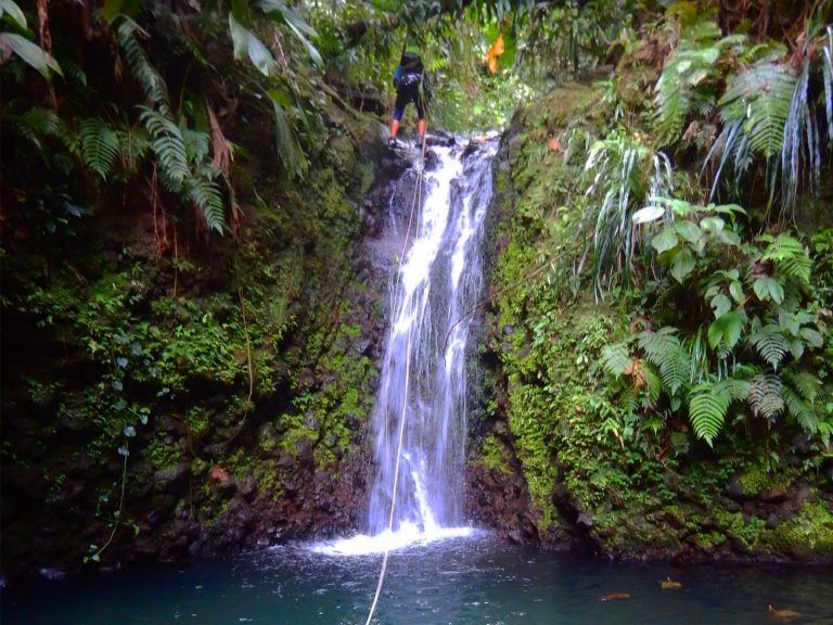Canyoning en Guadeloupe – OLIVIER ☎ 0690 356586