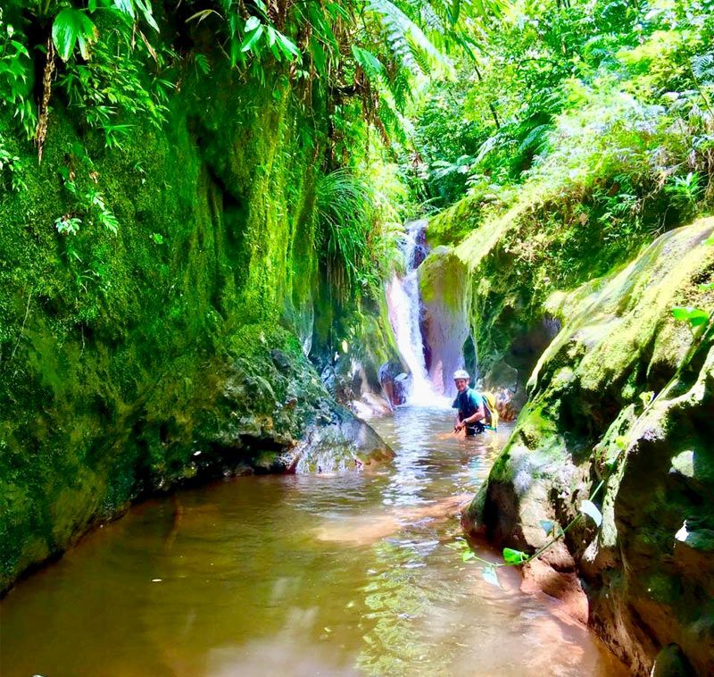 Réservez votre sortie canyoning - Guadeloupe, réservation en ligne